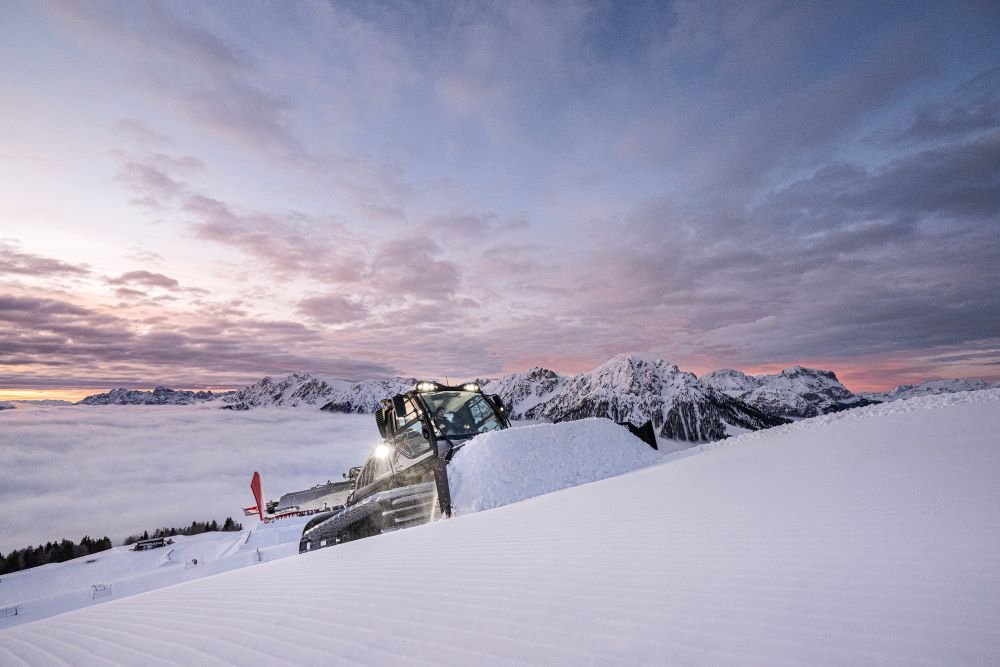 Bison - King of Parks - Prinoth