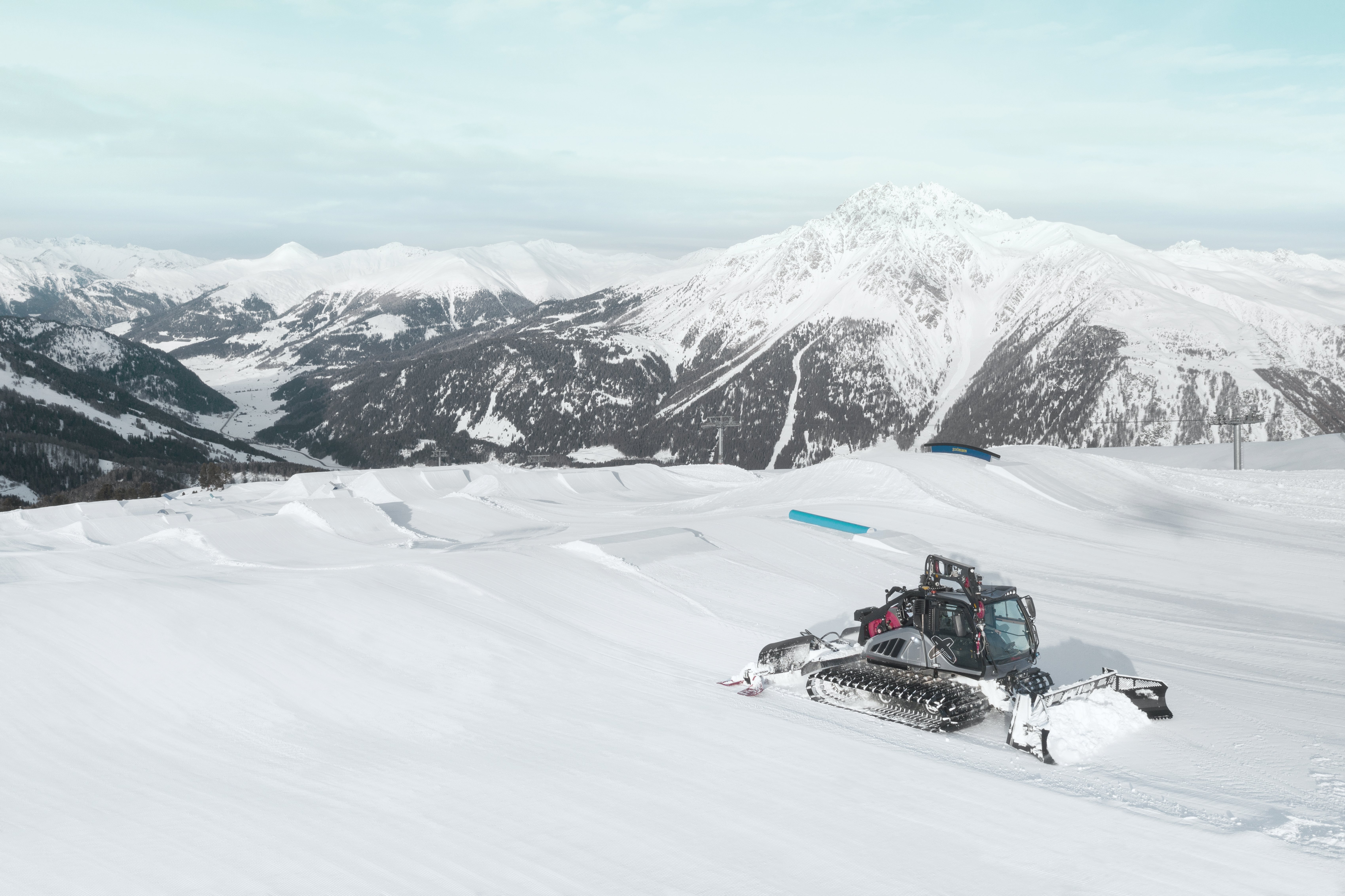 Bison - King of Parks - Prinoth