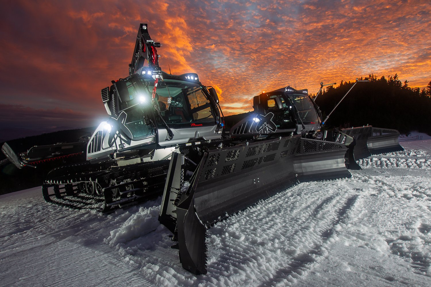 Bison - King of Parks - Prinoth