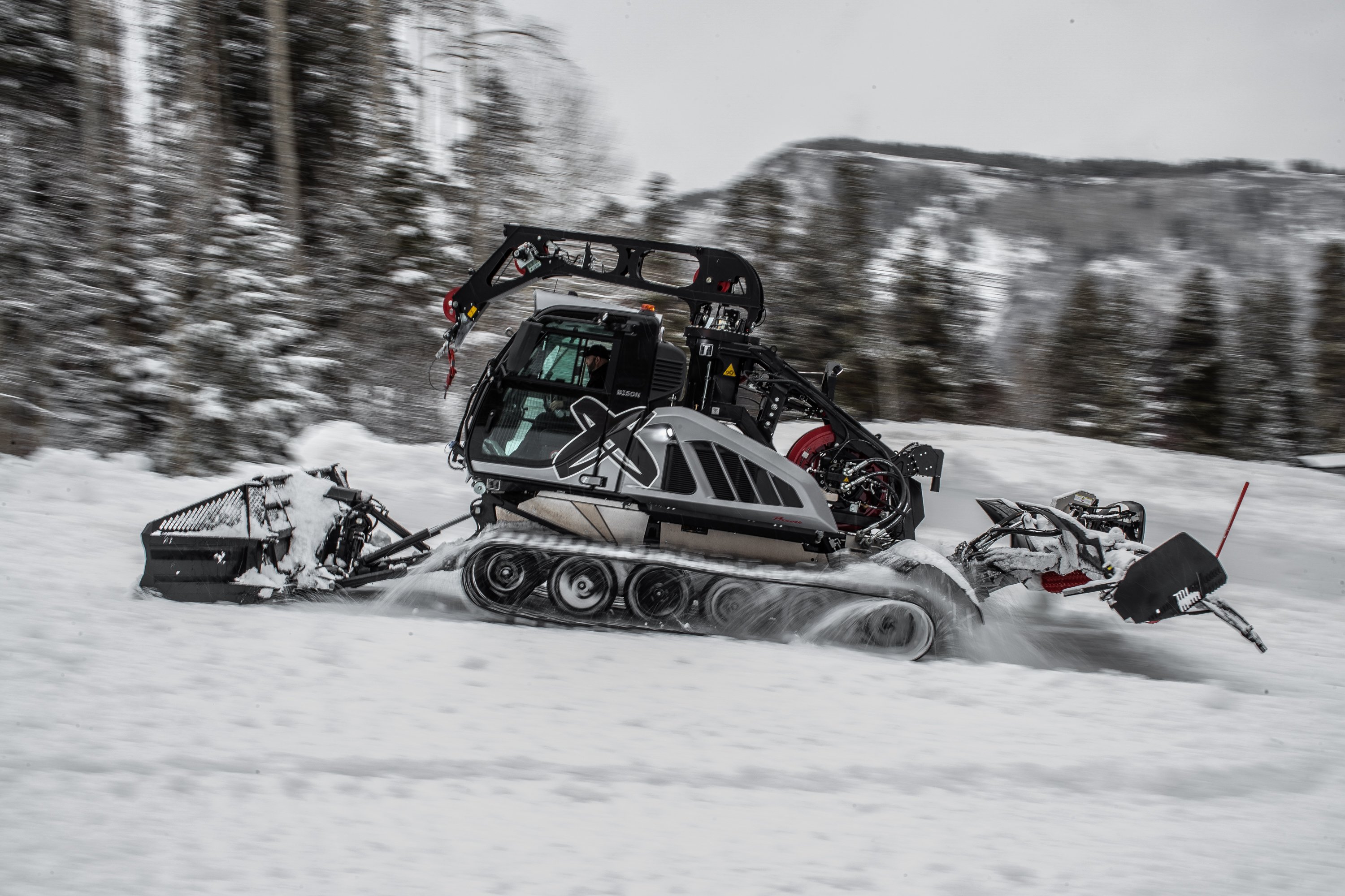 Bison - King of Parks - Prinoth