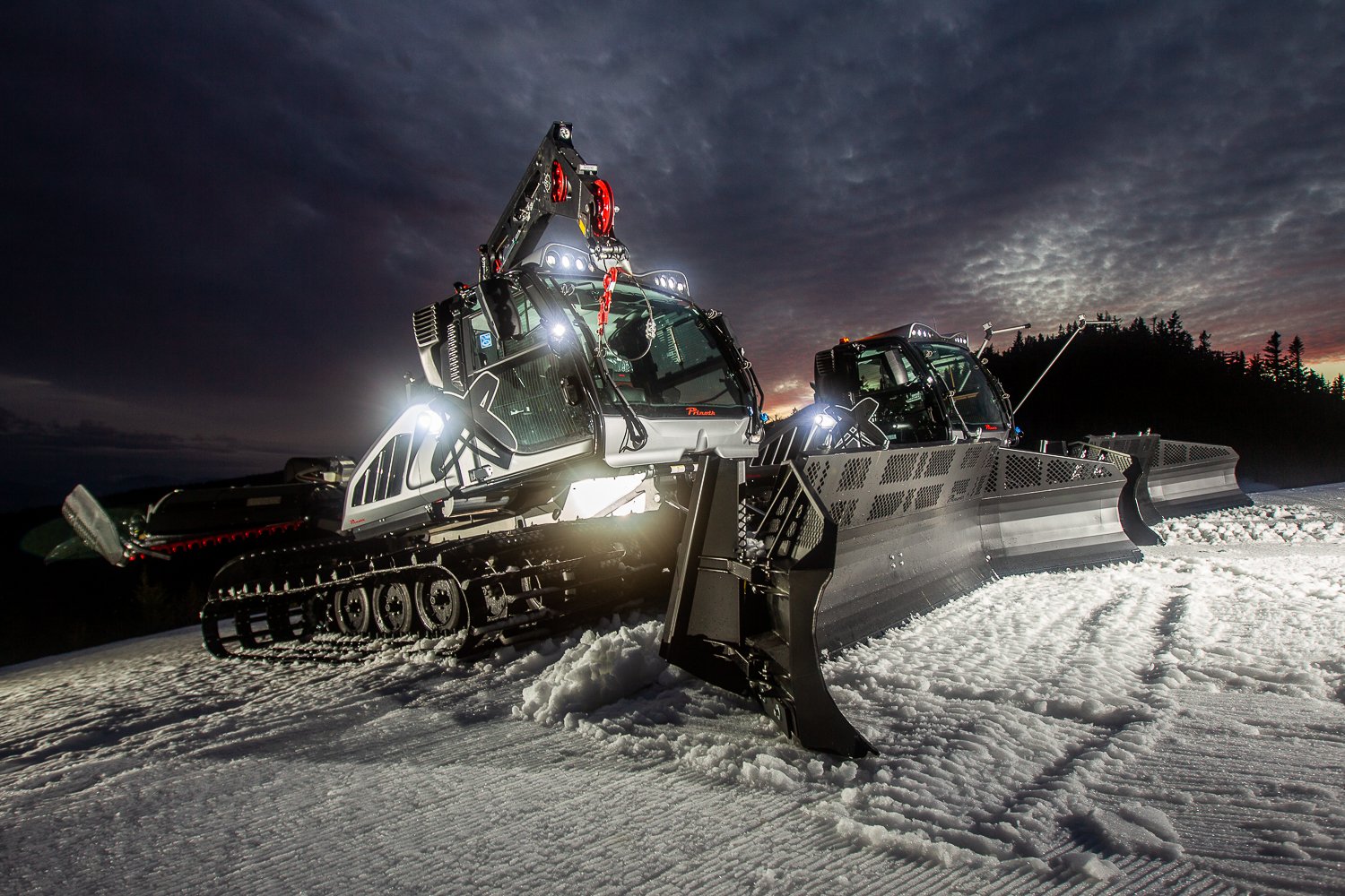 Bison - King of Parks - Prinoth