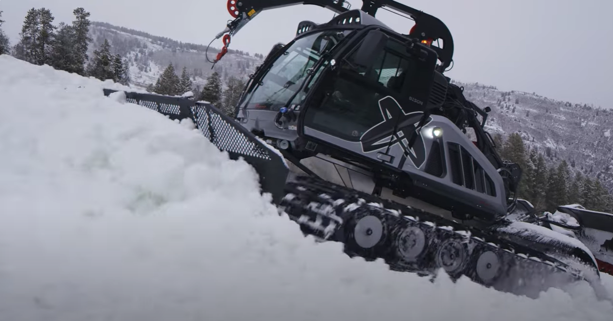 Bison - King of Parks - Prinoth