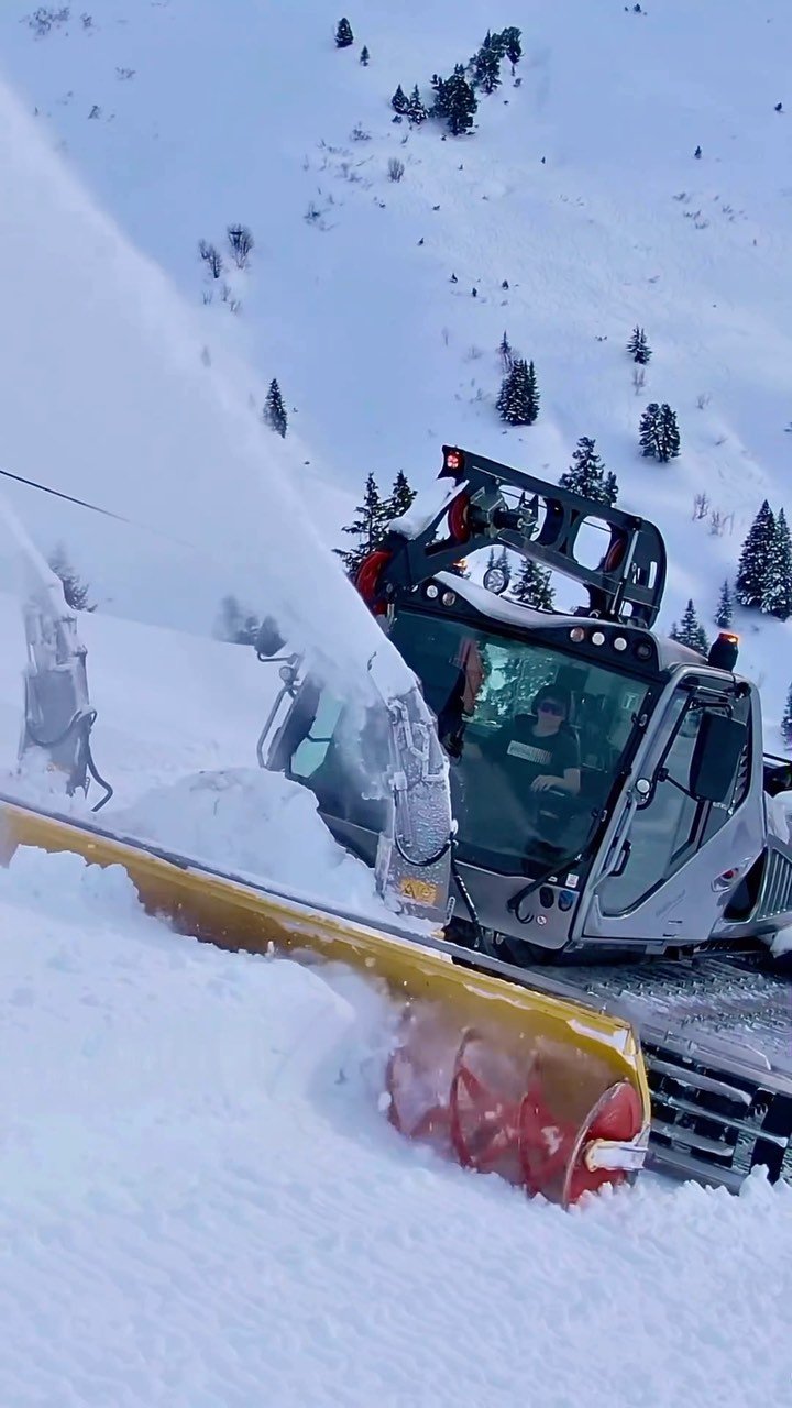 Prinoth Life - Prinoth