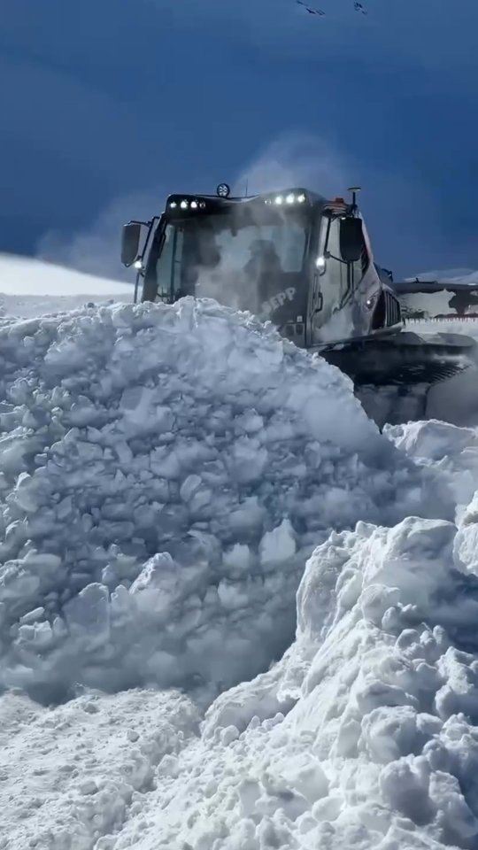 Prinoth Life - Prinoth