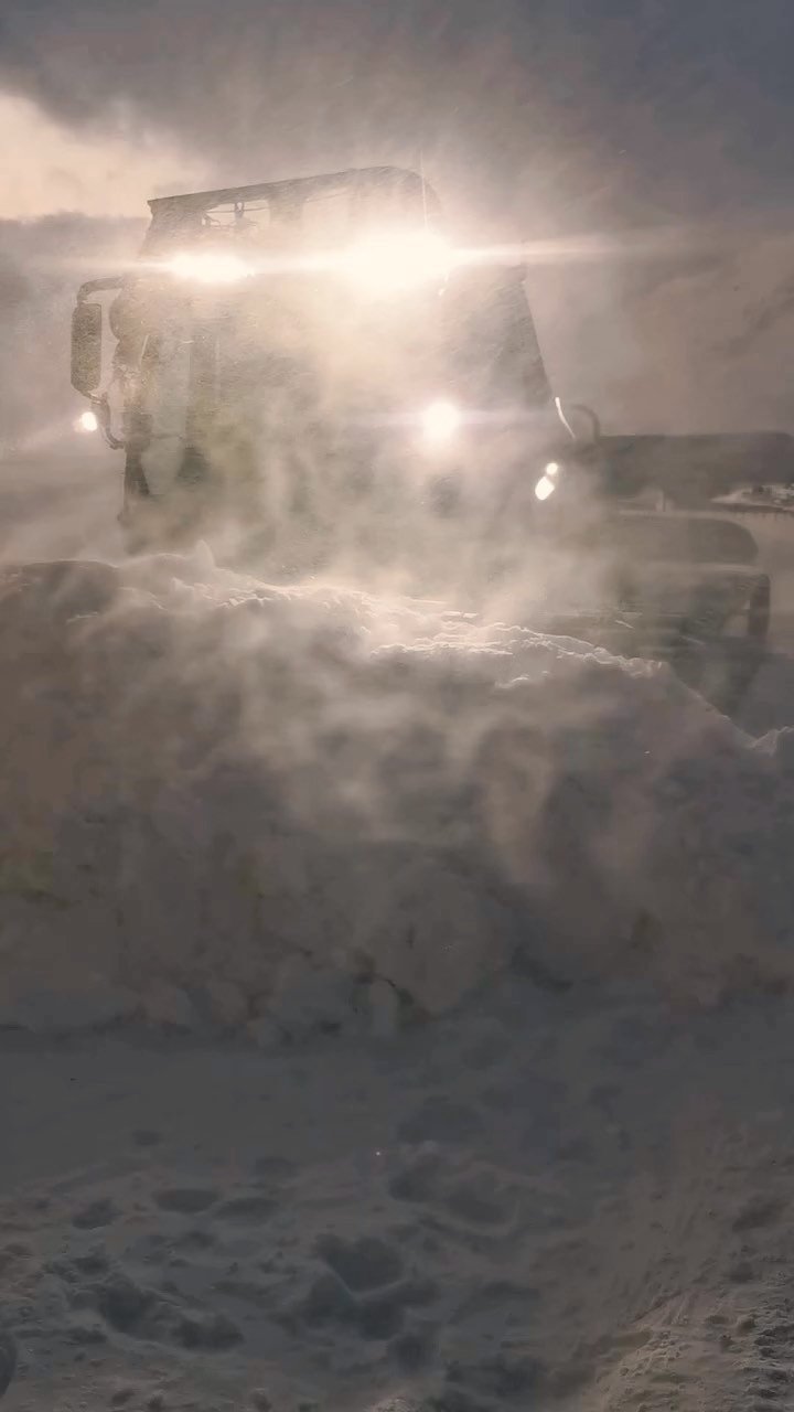 Prinoth Life - Prinoth